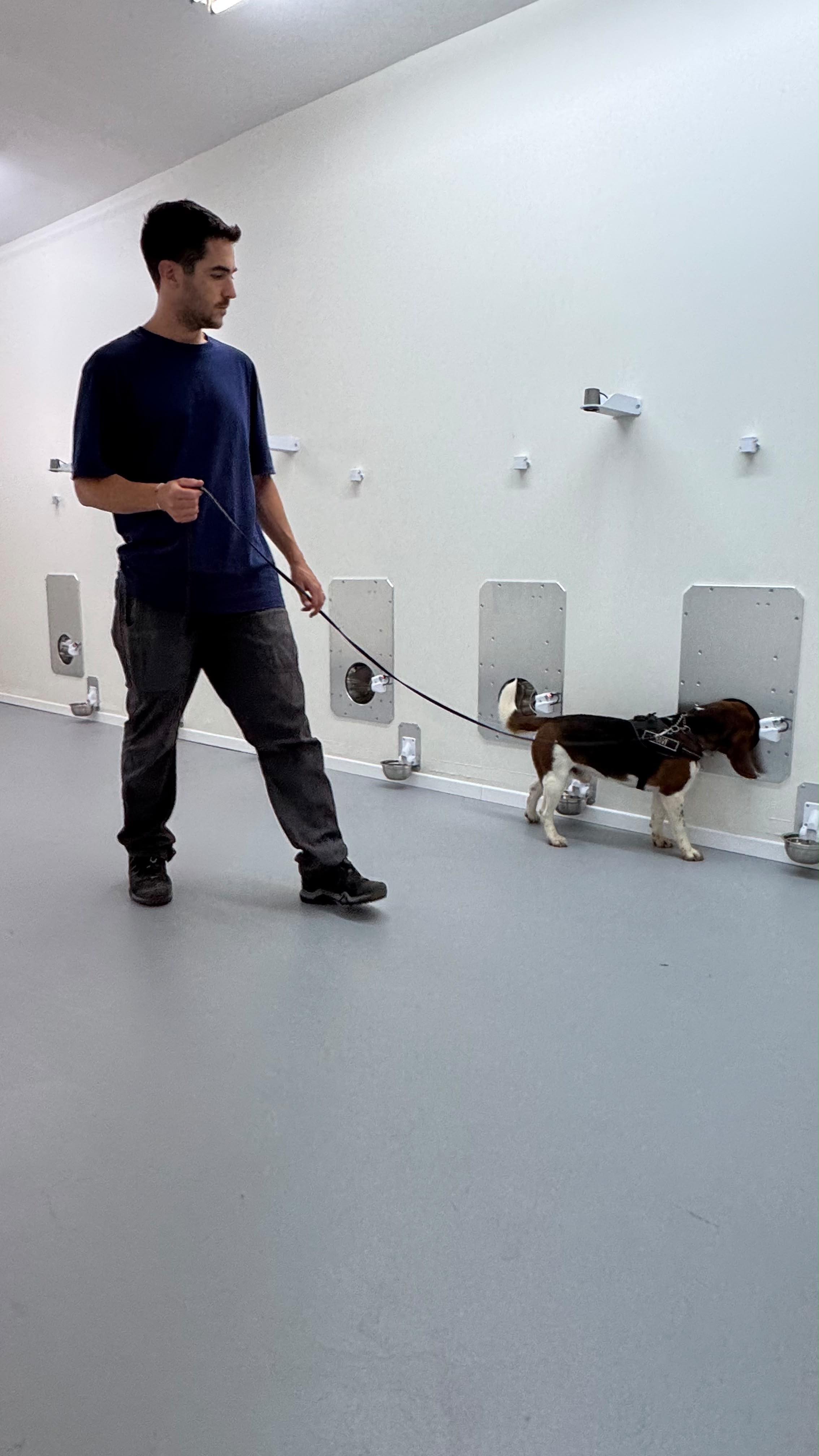 Israeli startup trains cancer-sniffing dogs to revolutionize early ...