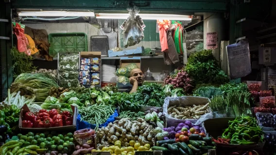 Israel to tighten inspections of Palestinian produce after pesticide ...